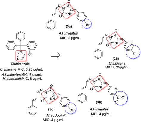 Structure Activity Relation Of Antifungal Activity Download Scientific Diagram