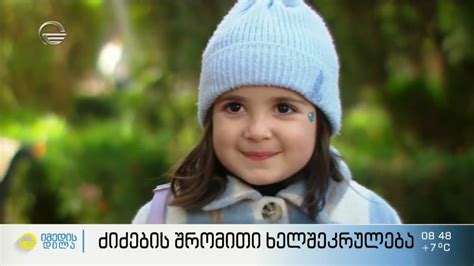 შრომითი ხელშეკრულება ძიძებისთვის და დამსაქმებელი ოჯახებისთვის Youtube