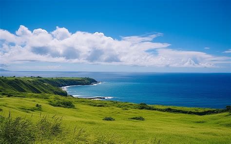 푸른 하늘에 풀이 흔들리고 있다 가을 계절 높은 해상도 배경 일러스트 및 사진 무료 다운로드 Pngtree