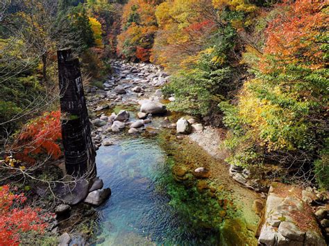 Akasawa 3 Healing Forest