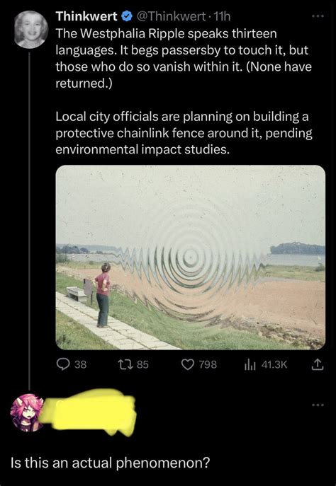 Daniel Litt On Twitter Incredible Response