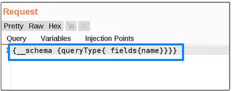 Exploiting Graphql Raxis