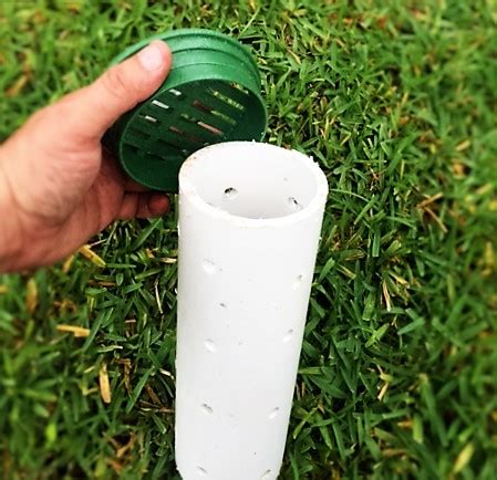 Aeration And Tree Care Canopy Tree Service