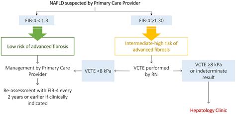 Impact Of Implementing A “fib‐4 First” Strategy On A Pathway For