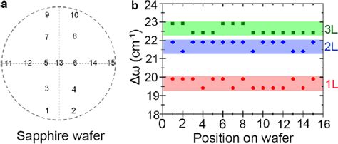Characterizations Of Spatial Homogeneity And Wafer Scale Uniformity Of
