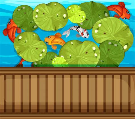Clip Art Of A Koi Fish Pond Illustrations Royalty Free Vector Graphics