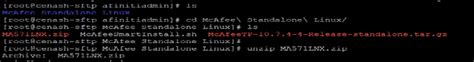 How To Install McAfee ENS On Linux Standalone LinuxWays
