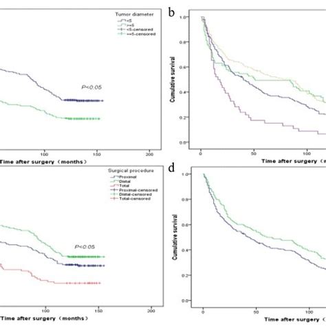 Lymph Node Dissection In Pylorus Preserving Gastrectomy Lymph Node