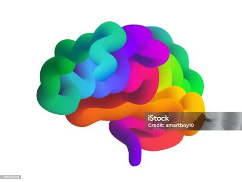 Stylized Human Brain Stock Illustration Download Image Now Nerve