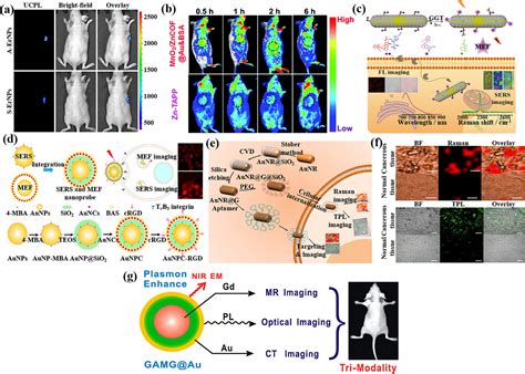 Multifunctional Ultra‐bright Plasmonic Goldfluorescence Nanoprobe For Biomedical Applications