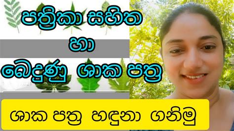 පත්‍රිකා සහිත ශාක හා බෙදුණු ශාක පත්‍ර සහිත ශාක වෙන් කර හඳුනා ගැනීම පරිසරය ආශ්‍රිත ක්‍රියාකාරකම්