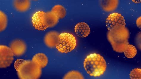 Cervical Cancer Screening Vaccination Over 190 Royalty Free Licensable