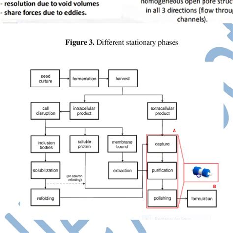 Schematic Diagram Of A Typical Bioprocess A Different Downstream