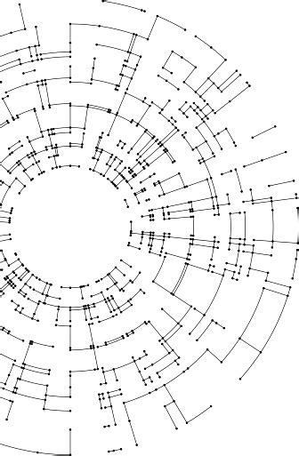 라인 및 흰색 바탕에 도트를 연결합니다 추상 네트워크 연결 디자인 개념입니다 기술 디자인 벡터 배경 라인 및 포인트 디지털 기하학적 추상화 0명에 대한 스톡 벡터 아트 및