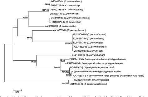 Figure 1 From Molecular Characterization Of Cryptosporidium Spp From