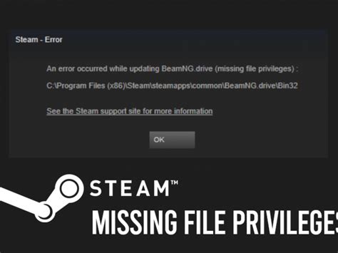 Steam Missing File Privileges Here S The Fix Update 10 2025