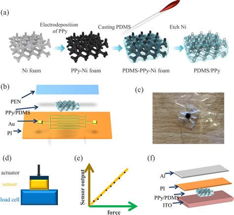 A Fabrication Process Of 3d Porous Structure Pdmsppy Composite Download Scientific Diagram