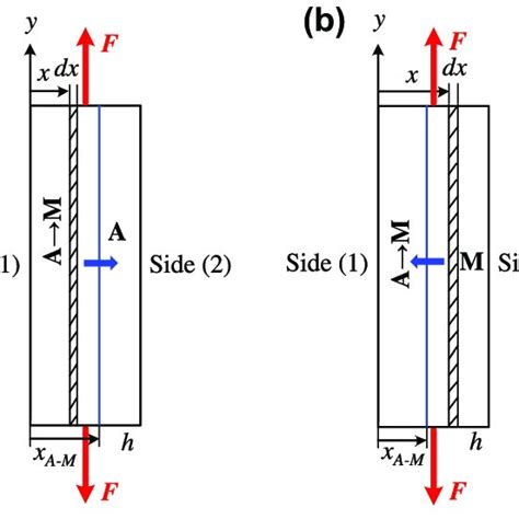 Evolution Of Martensitic Transformation Within The Functionally Graded