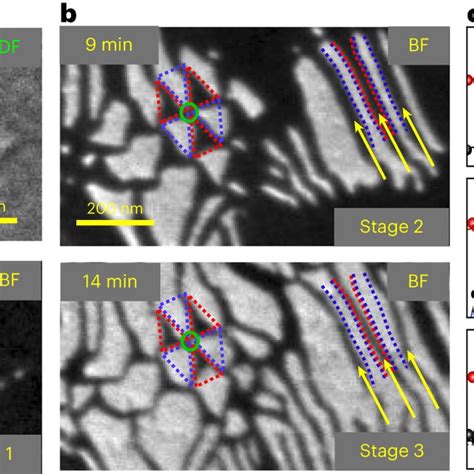 Domain Selective Lithium Intercalation Into The Graphene Buffer Download Scientific Diagram