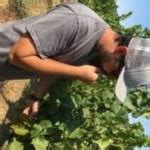 Wine Blog Bacchus And Beery Wine Blog Dedicated To The Love Of Wine Wine Country Travel And