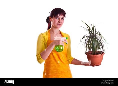 Housewife Watering A Flower Stock Photo Alamy