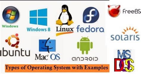 Explain Different Types Of Operating Systems With Examples
