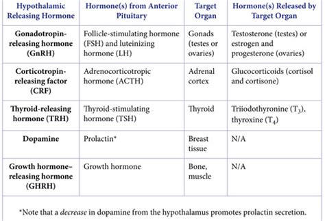 MCAT Biology 5 Endocrine System Flashcards Quizlet