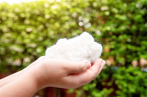 Usitc Recommends Remedies Post Probe Into Fine Denier Psf Imports