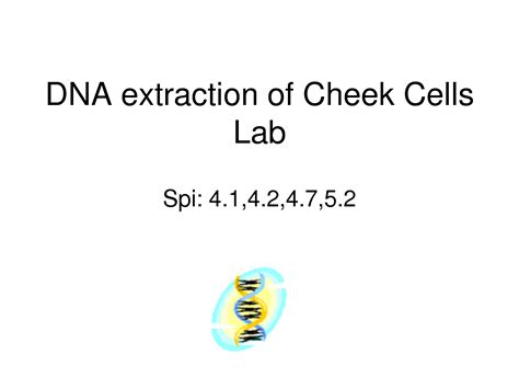 Dna Extraction Of Cheek Cells Lab Biological Science Picture Directory