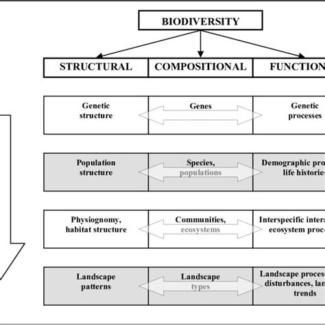 8 Compositional Functional And Structural Biodiversity All