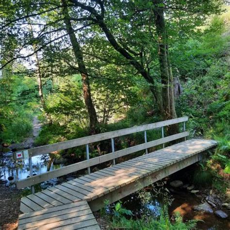 دانلود آهنگ سنا برزنجه من او کچم بهترین کیفیت متن اهنگ دانلود وان