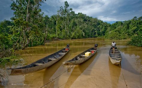 Suriname Wallpapers 12 Images Inside
