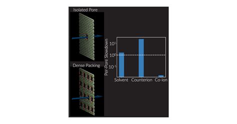 Correlations In Charged Multipore Systems Implications For Enhancing Selectivity And