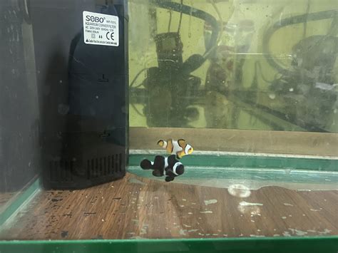 最新免费ssssrshadowsocks节点分享丨长期更新永久有效 光年之内