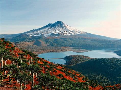 Parque Nacional Conguillio 2025 All You Must Know Before You Go W
