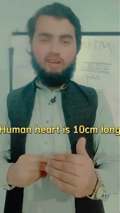 Length Of The Heart By Mian Aizaz Ali Khan Education Lecture Educational Youtube