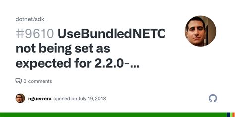 Usebundlednetcoreapppackageversionasdefaultnetcorepatchversion Not
