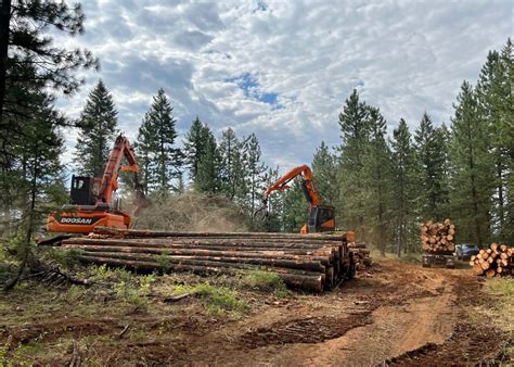 ‘sustainable Logging Operations Are Clear Cutting Canadas Climate