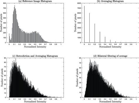 1000 Bin Histograms Of A The Reference Image Shown In Figure 2a B Download Scientific