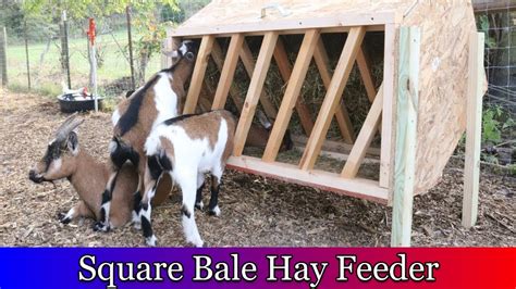 DIY Round Bale Feeder for Goats: An Easy and Affordable Solution for Your Farm!