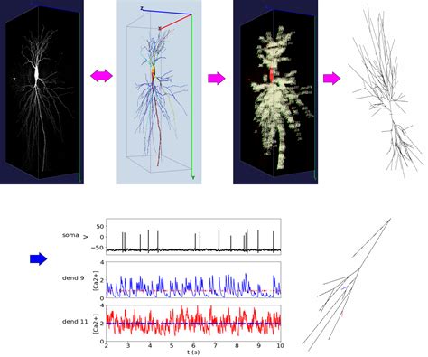 Publications Talks And Posters James Wilsenach