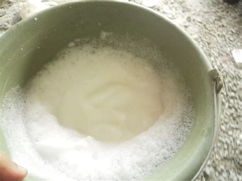 Foam From The Foaming Agent Download Scientific Diagram