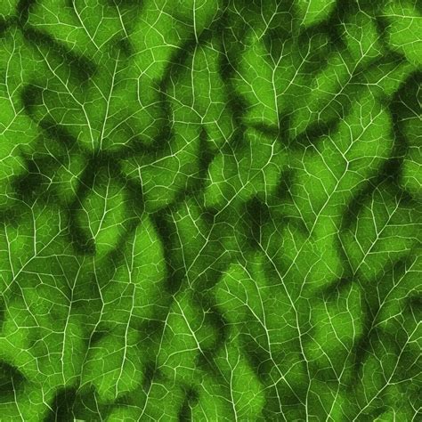 Oak Tree Leaves Texture