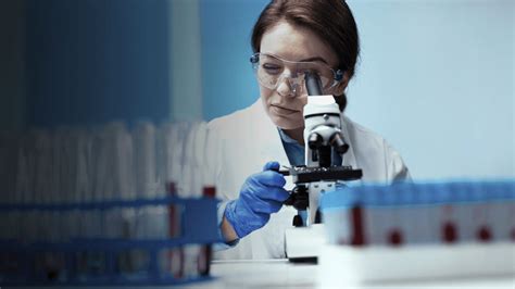 Learning Experience Platform Ai Powered Lxp Software Cornerstone