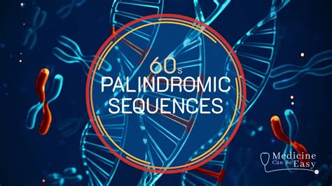 Genetics In 60 Seconds Palindromic Sequences Youtube