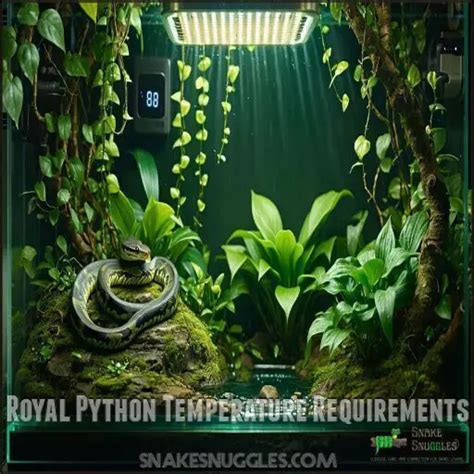 Best Temperature For Different Snake Breeds Keep Your Pet Healthy