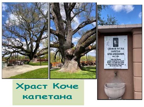 Пројекат Репортажа о Јагодини