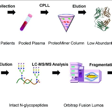 Comparison Of The Ethcd A Sechcd B And Ethcd Scehcd C Spectra