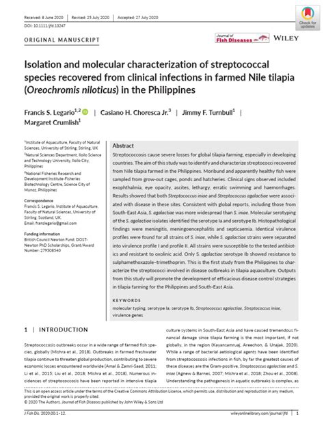 Isolation And Molecular Characterization Of Streptococcal Species Recovered From Clinical