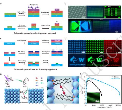 Photolithography For Mhps A Schematic Diagram Of The Top Down Download Scientific Diagram